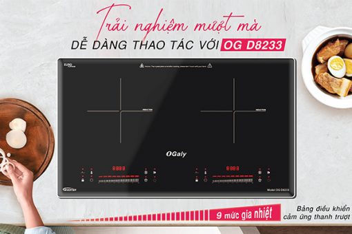 1. Bếp từ đôi OGaly OG D8233